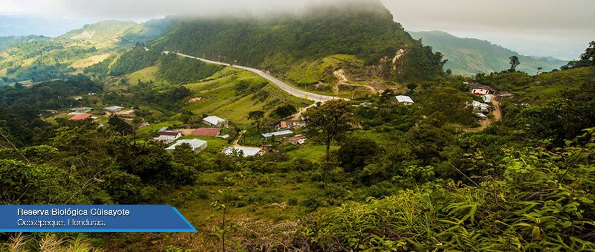 Protección de la Reserva de Biosfera Transfronteriza Trifinio ...